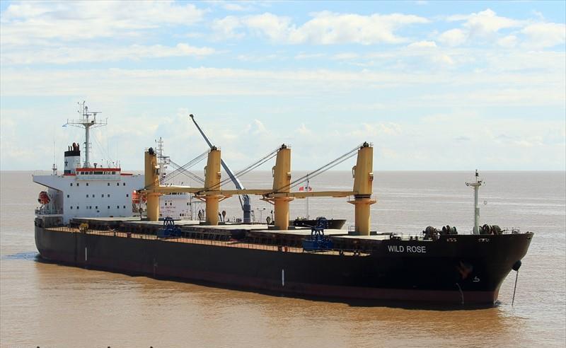 WILD ROSE - Vesseljoin