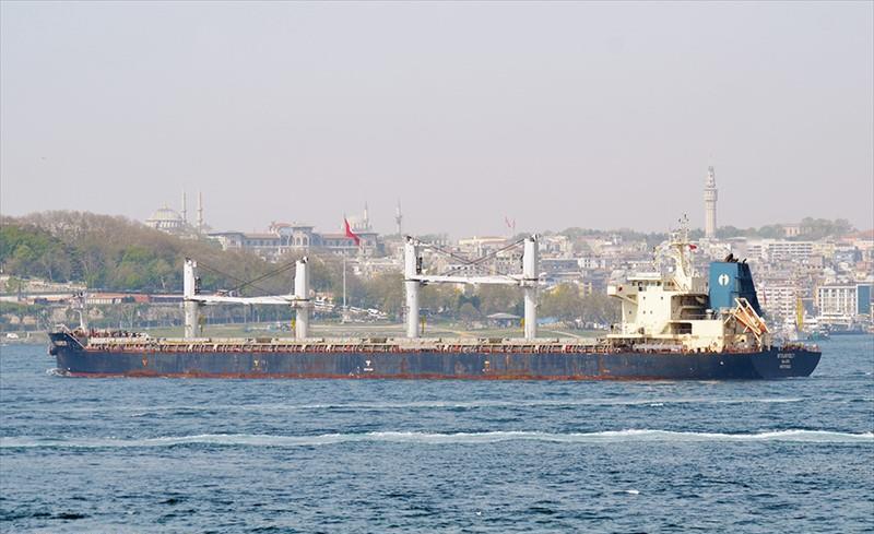 INTERLINK FIDELITY - Vesseljoin