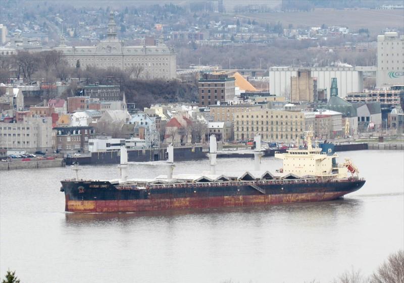 INTERLINK TENACITY - Vesseljoin