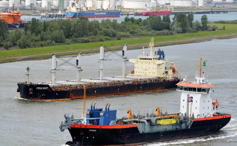 INTERLINK VERACITY - Vesseljoin