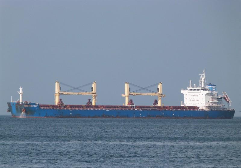 BALTIC WASP - Vesseljoin