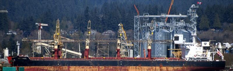 SEA ANGEL - Vesseljoin