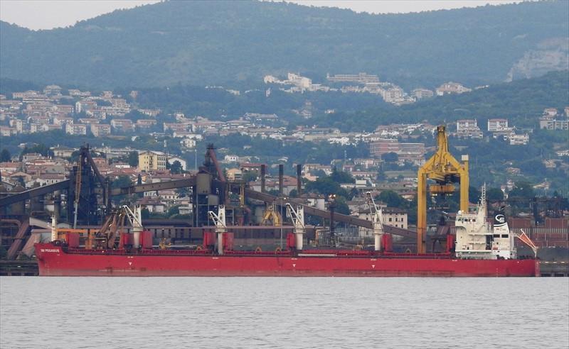 SBI PEGASUS - Vesseljoin