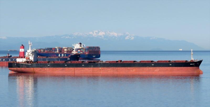 SUNLIGHT - Vesseljoin