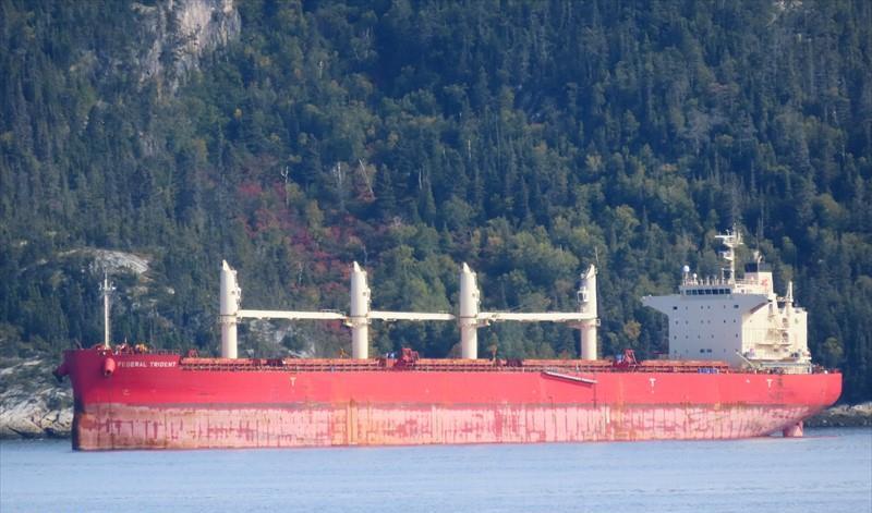 FEDERAL TRIDENT - Vesseljoin