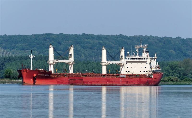 FEDERAL CEDAR - Vesseljoin