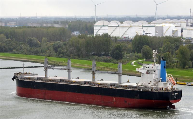 RED COSMOS - Vesseljoin