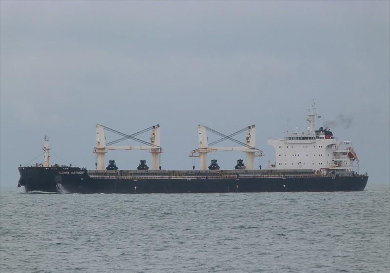 TOMINI HARMONY - Vesseljoin