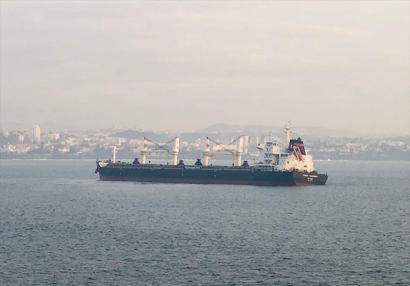 TOMINI HARMONY - Vesseljoin