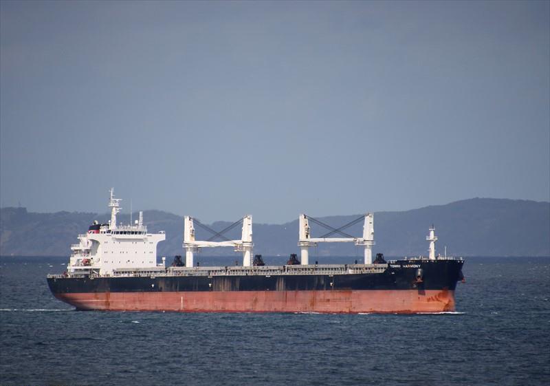 TOMINI HARMONY - Vesseljoin