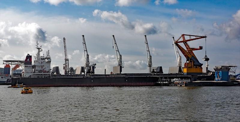 TOMINI SYMPHONY - Vesseljoin