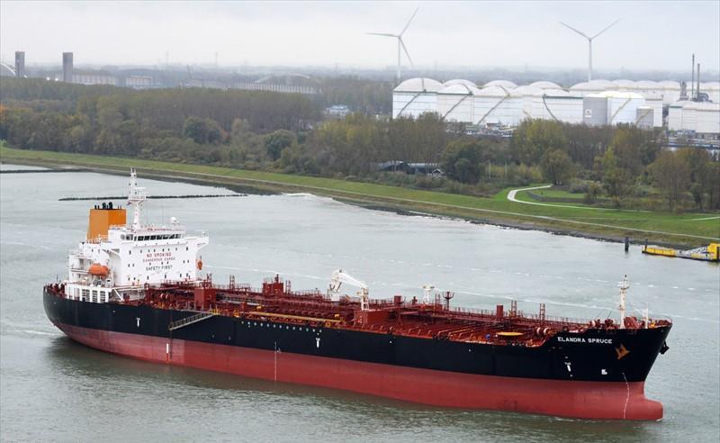 ELANDRA SPRUCE - Vesseljoin