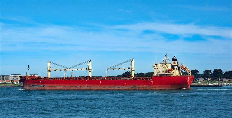 FEDERAL OSHIMA - Vesseljoin