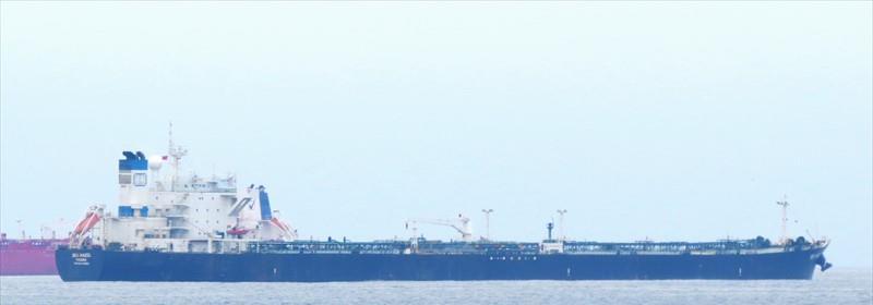 SEA HAZEL - Vesseljoin