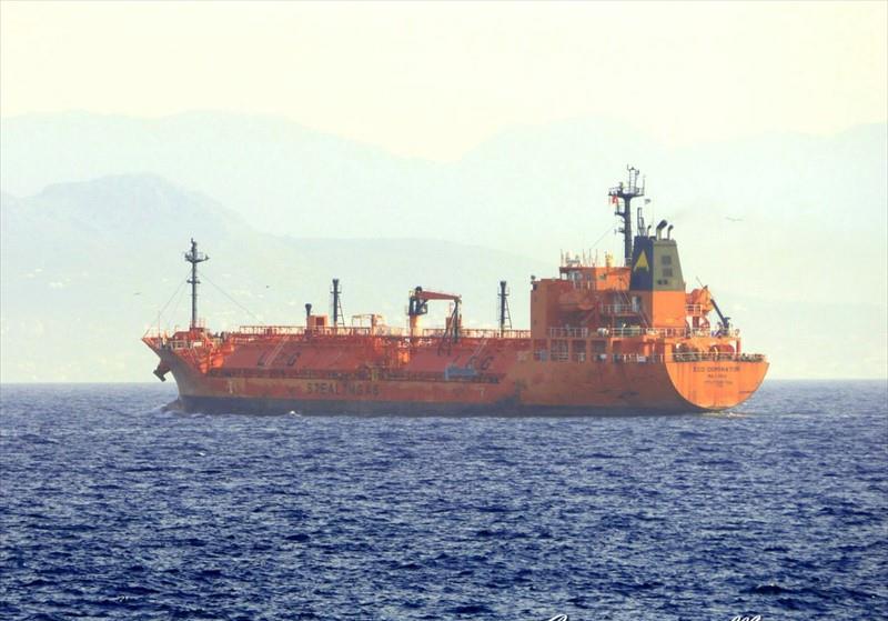 ECO DOMINATOR - Vesseljoin