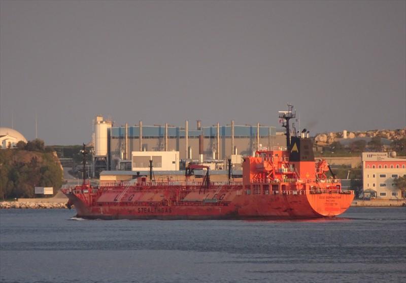 ECO DOMINATOR - Vesseljoin