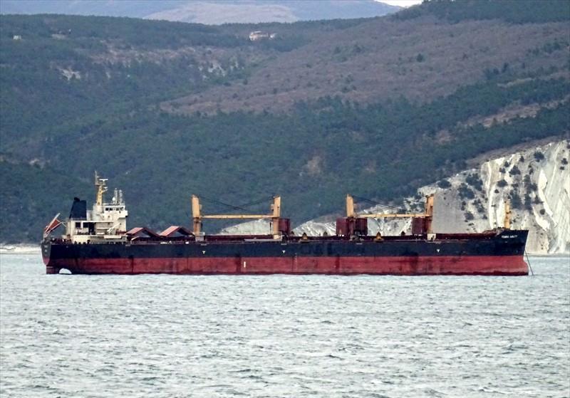 TOMINI ABILITY - Vesseljoin