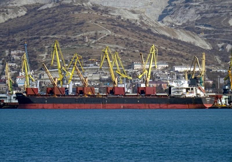 TOMINI ABILITY - Vesseljoin