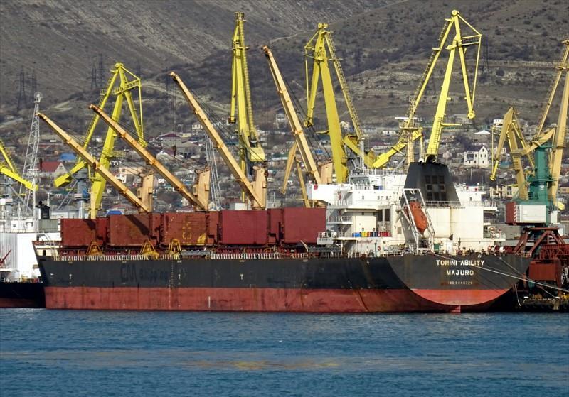 TOMINI ABILITY - Vesseljoin