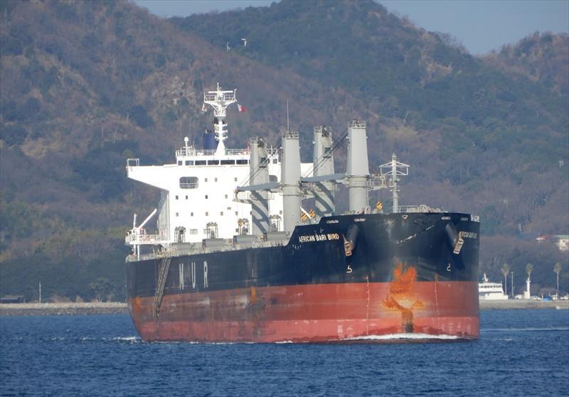 AFRICAN BARI BIRD - Vesseljoin