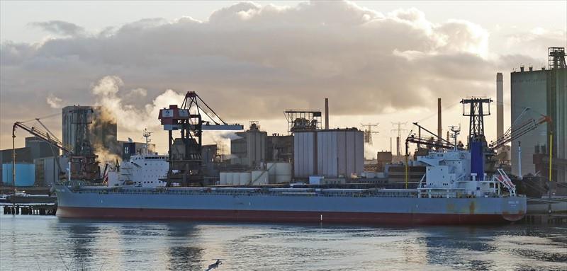 MONDIAL IRIS - Vesseljoin