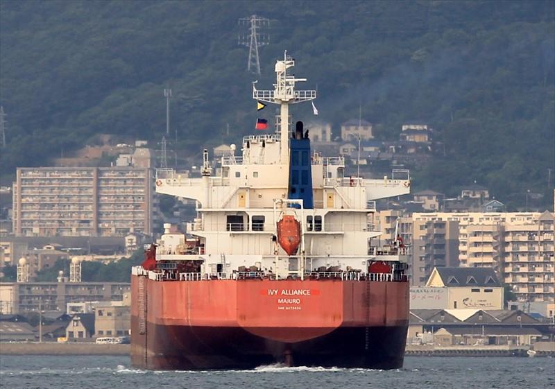 IVY ALLIANCE - Vesseljoin