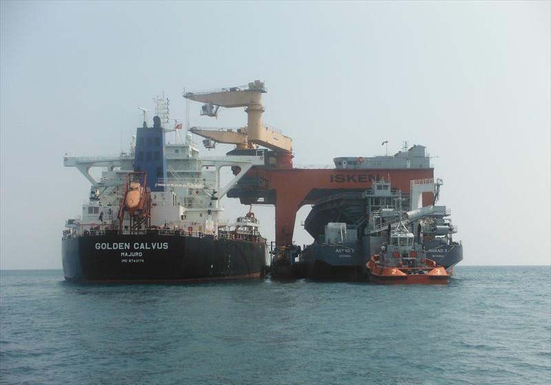 GOLDEN CALVUS - Vesseljoin