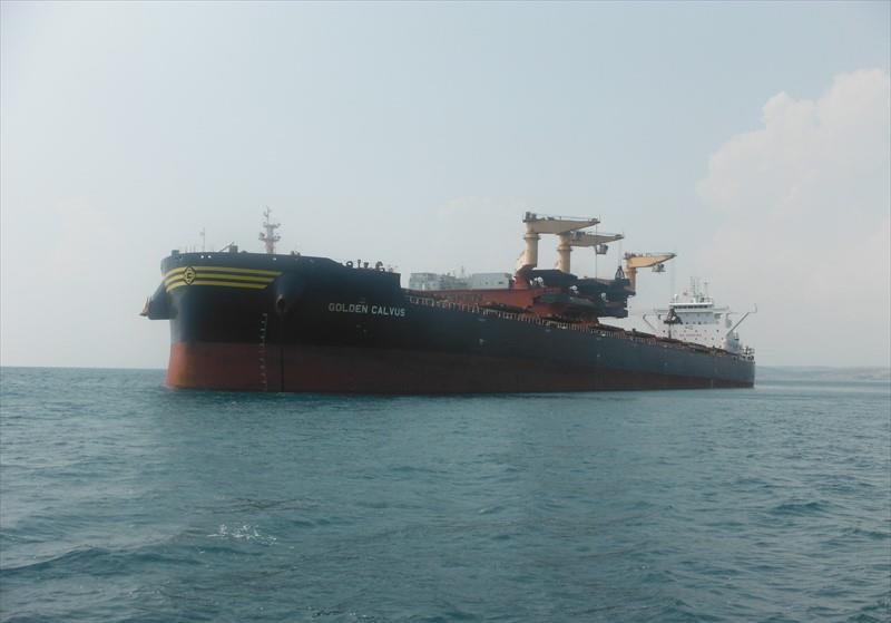 GOLDEN CALVUS - Vesseljoin