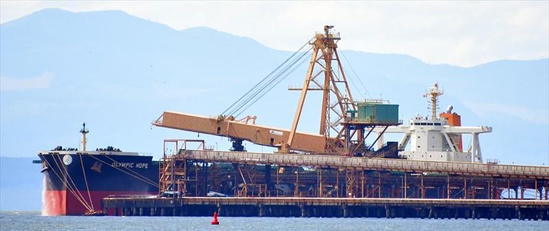 TRUE CARDINAL - Vesseljoin