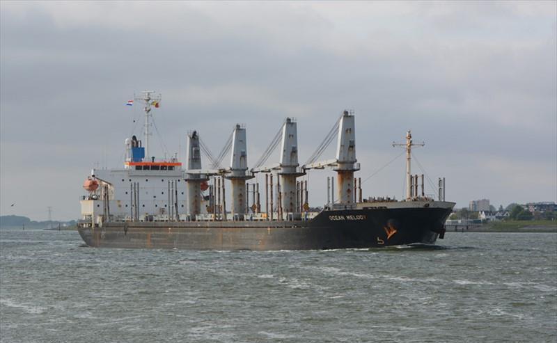 VENTO GRECALE - Vesseljoin