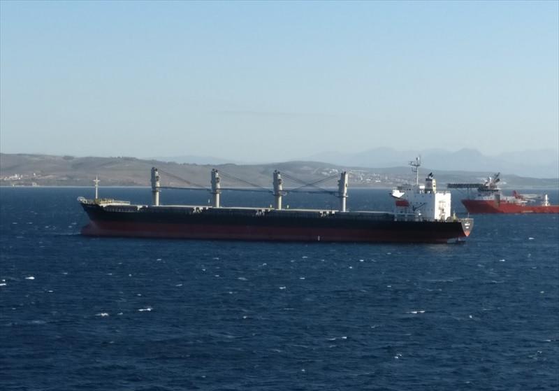 BALD EAGLE - Vesseljoin