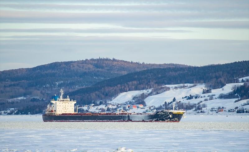 GOLDEN OPPORTUNITY - Vesseljoin