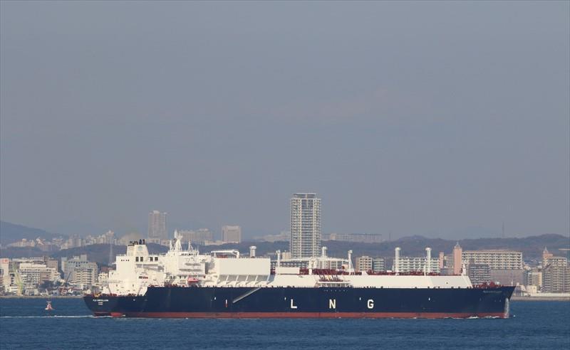 FLEX CONSTELLATION - Vesseljoin