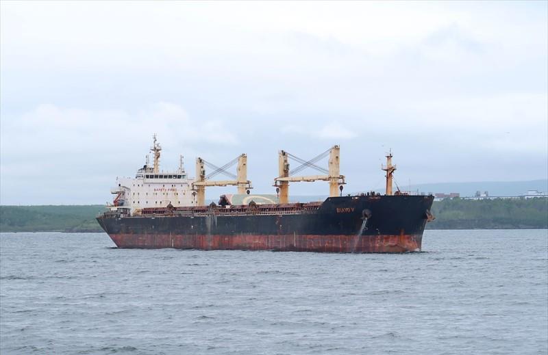 TOMINI MAJESTY - Vesseljoin