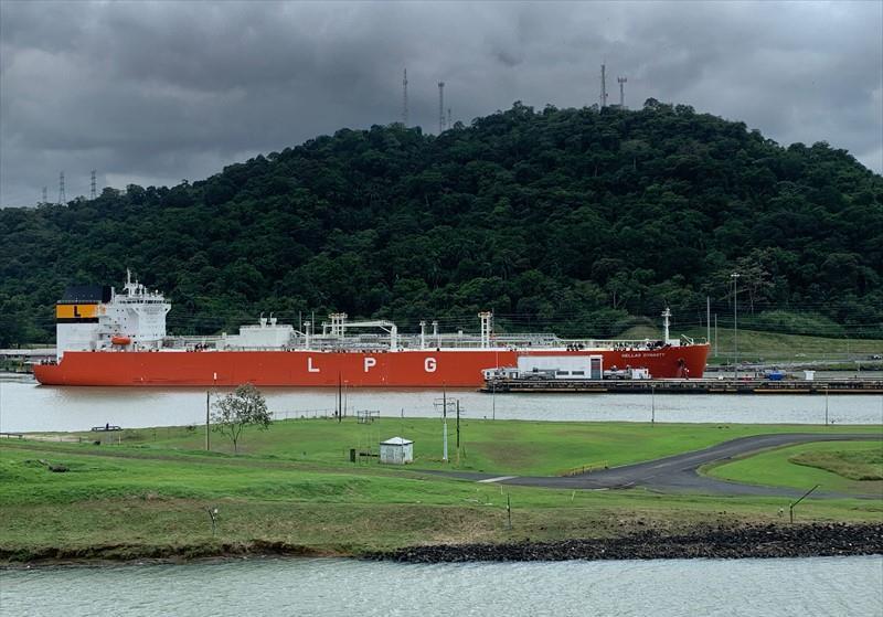 HELLAS DYNASTY - Vesseljoin