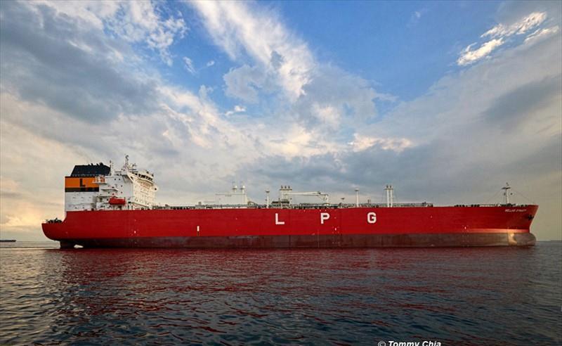 HELLAS DYNASTY - Vesseljoin