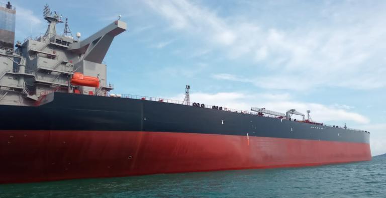 CHELSEA - Vesseljoin