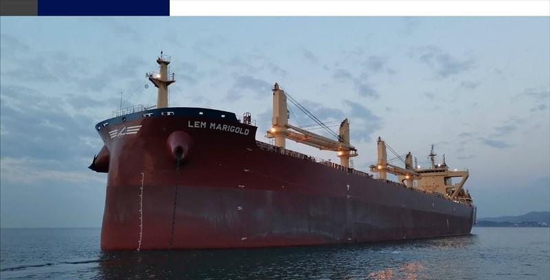 LEM MARIGOLD - Vesseljoin