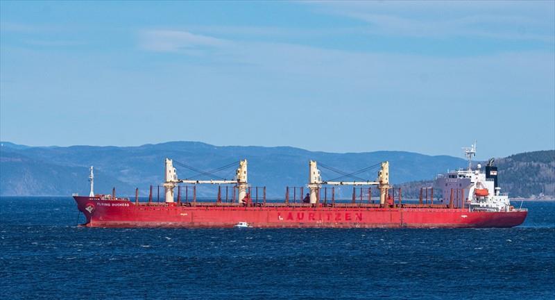 FLYING DUCHESS - Vesseljoin