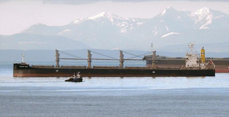 KOUJU LILY - Vesseljoin