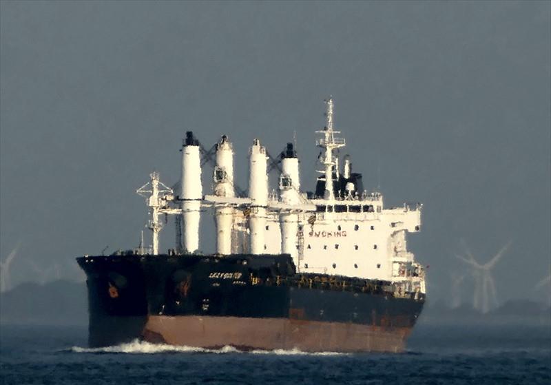 LILLY BOLTEN - Vesseljoin