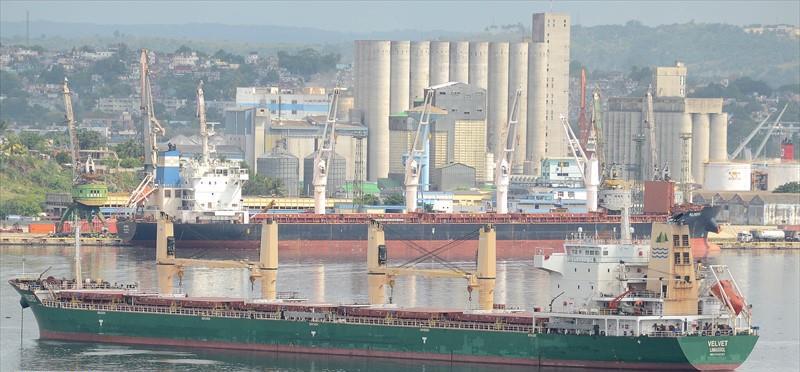 SEALION - Vesseljoin