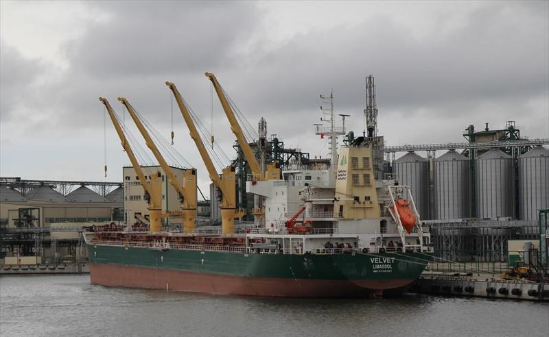 SEALION - Vesseljoin