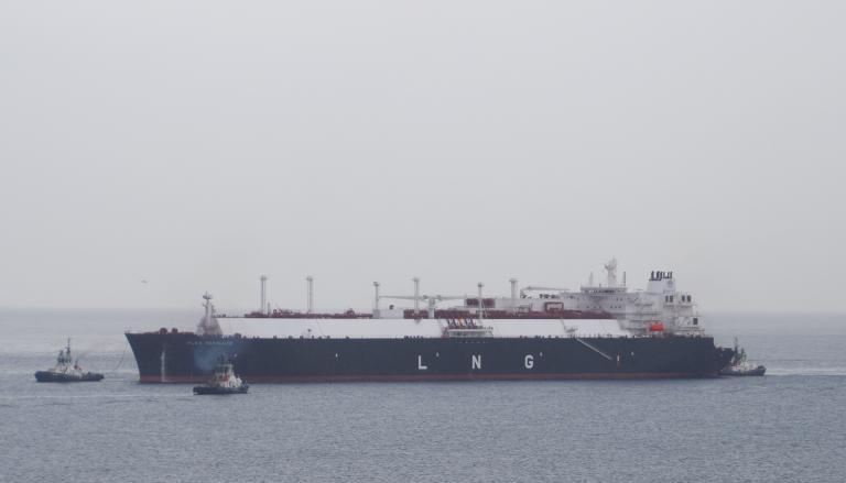 FLEX RESOLUTE - Vesseljoin