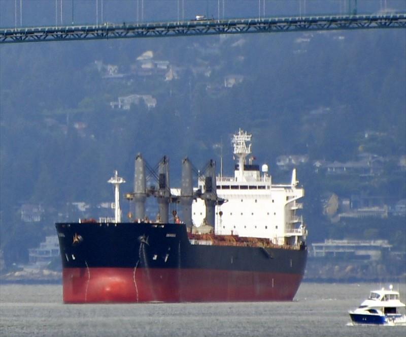 SEAGULL - Vesseljoin