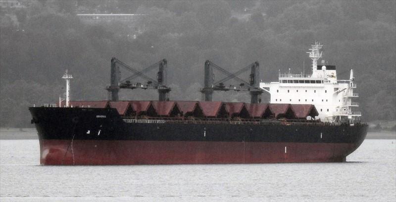 SEAGULL - Vesseljoin