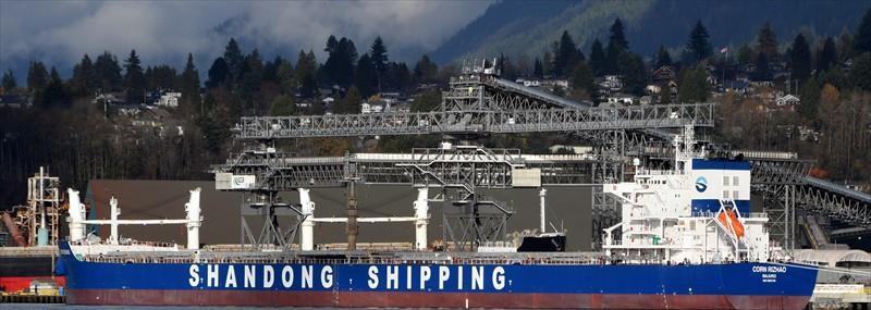 CORN RIZHAO (Bulk Carrier) - IMO: 9883780 | Vessel Details