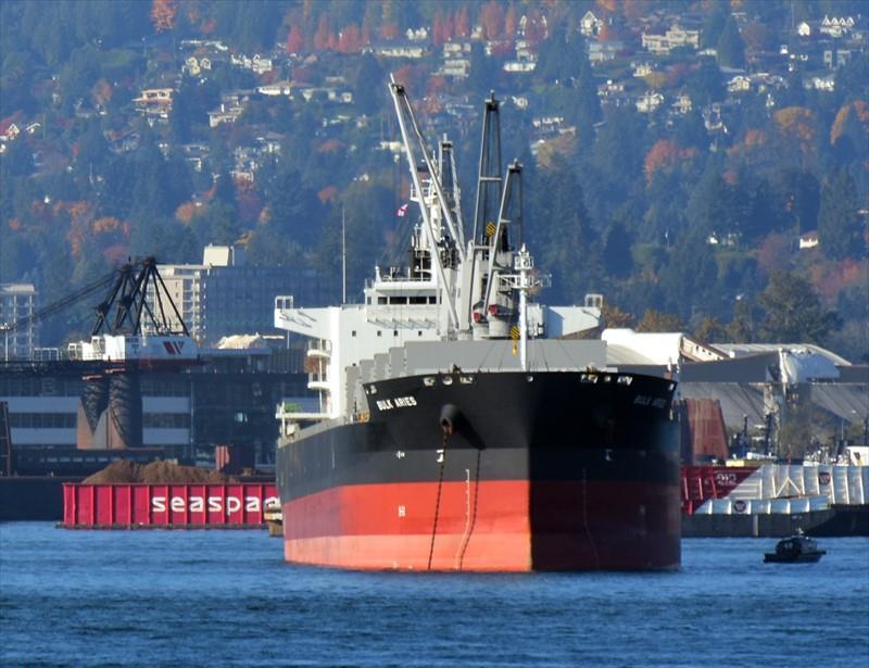 TOMINI INTEGRITY - Vesseljoin