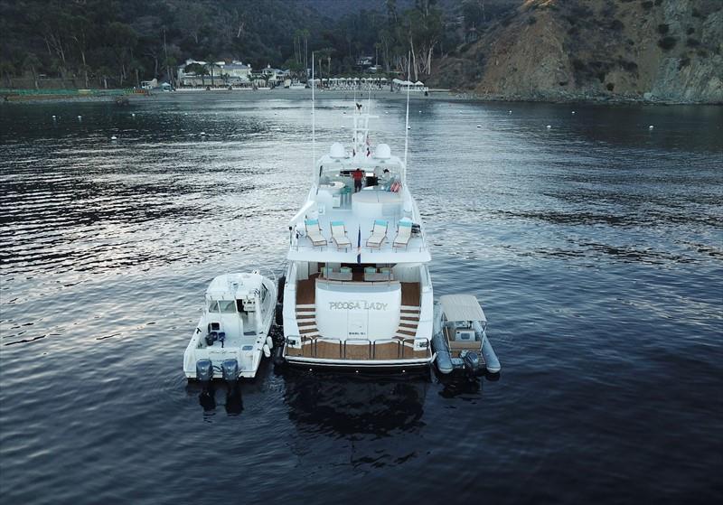 PICOSA LADY - Vesseljoin