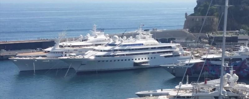 DANCING HARE - Vesseljoin